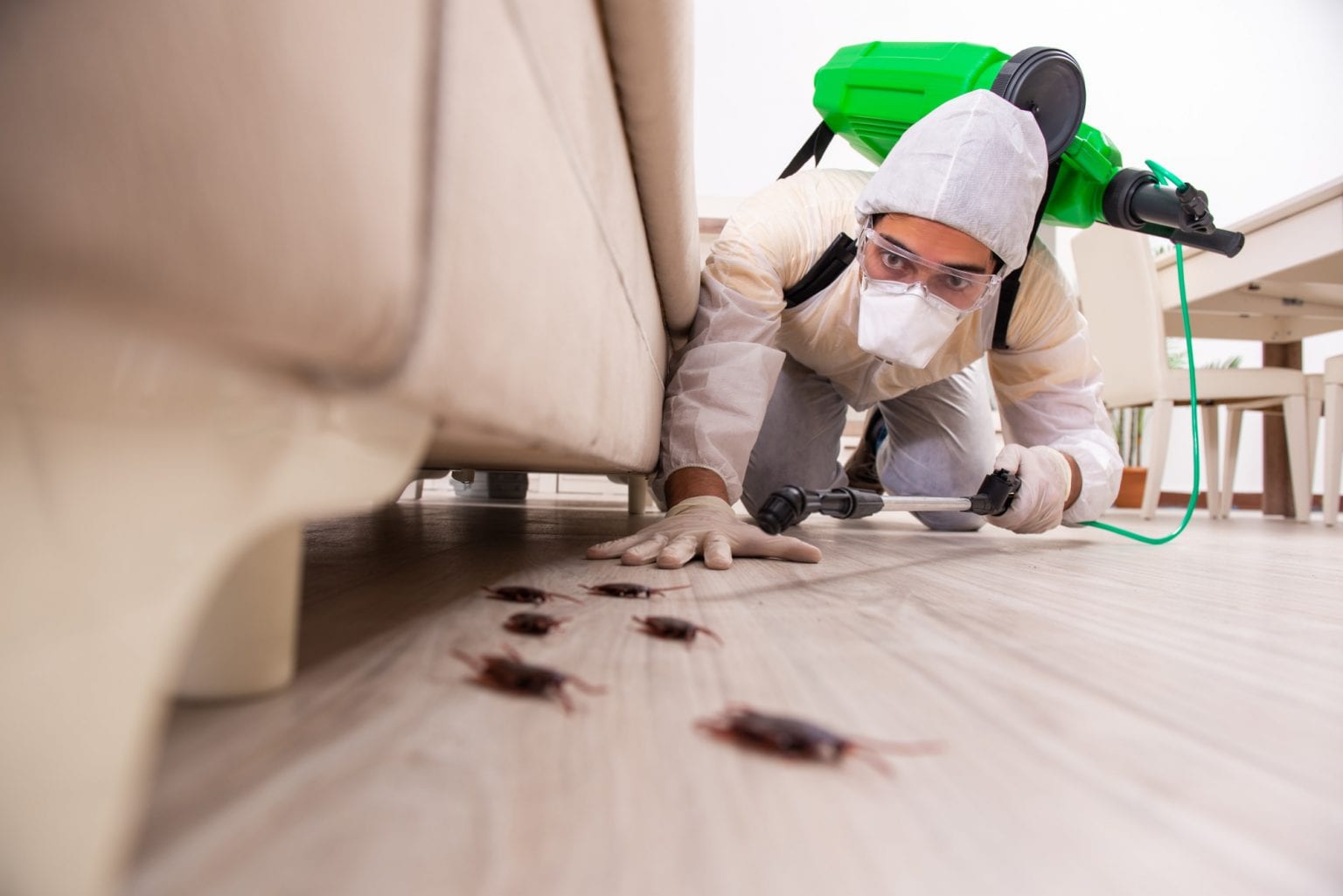 Bugs Be Gone: 7 Natural Ways to Kill Bugs