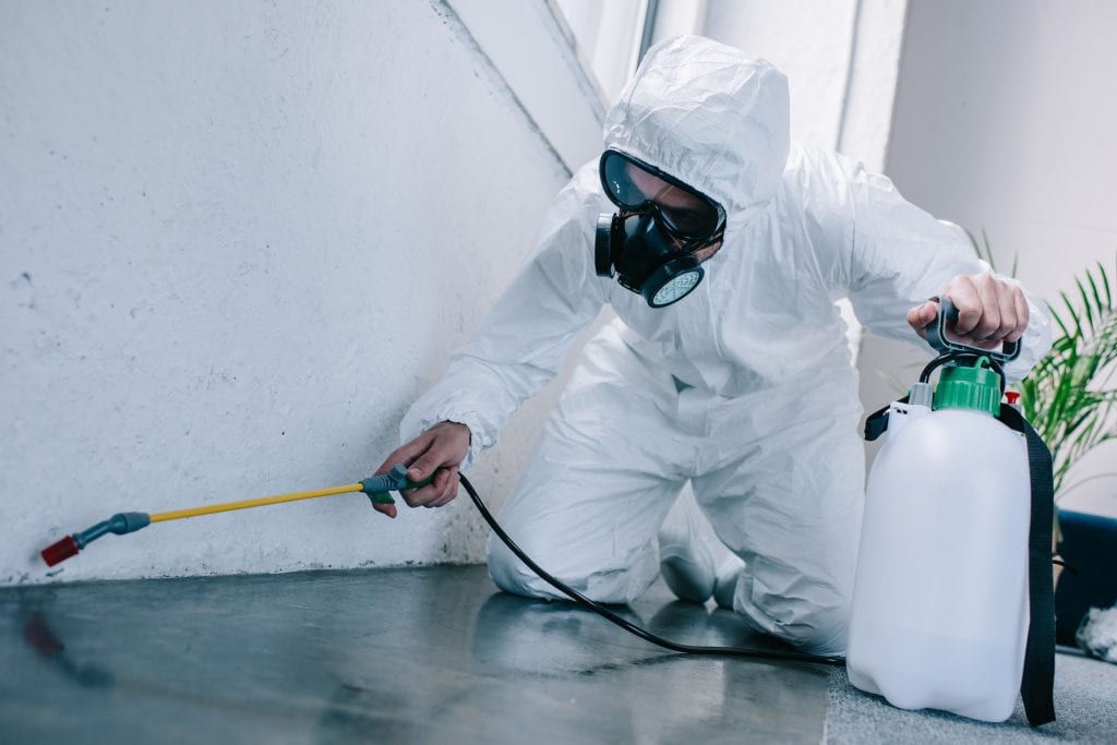 5 Best Local Pest Control Companies